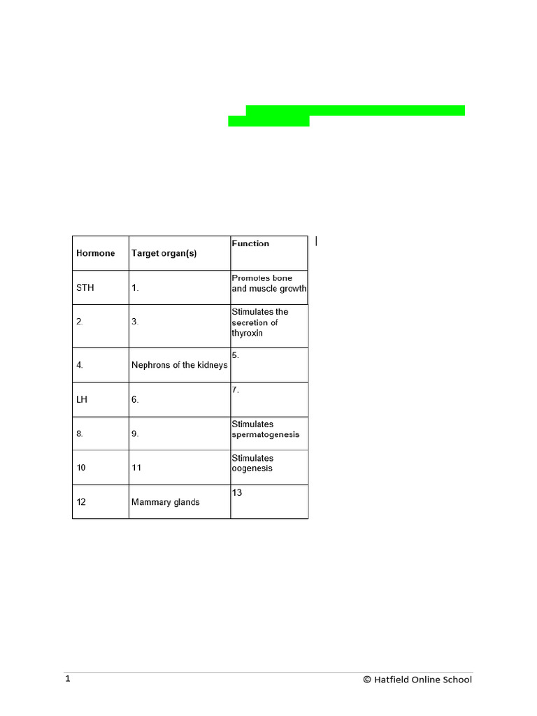Worksheet - Endocrine | PDF | Hormone | Pancreas