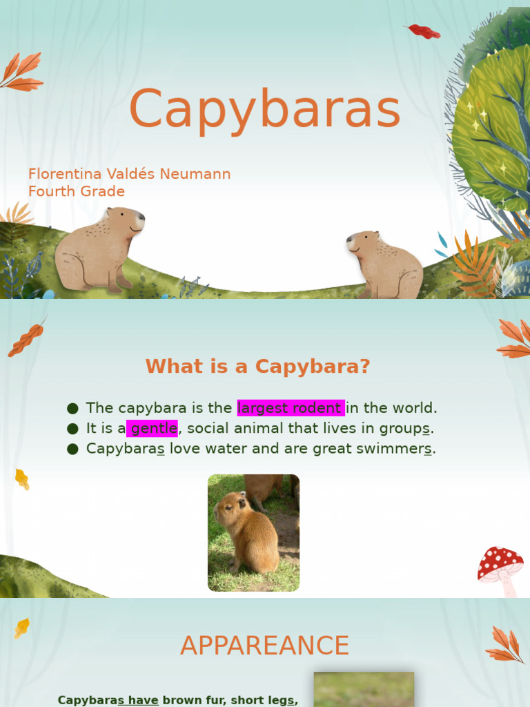 Presentation Capybaras | PDF