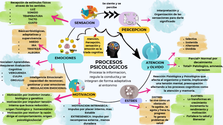 Procesos Cognitivos y Emocionales | PDF | Las emociones | Motivacional