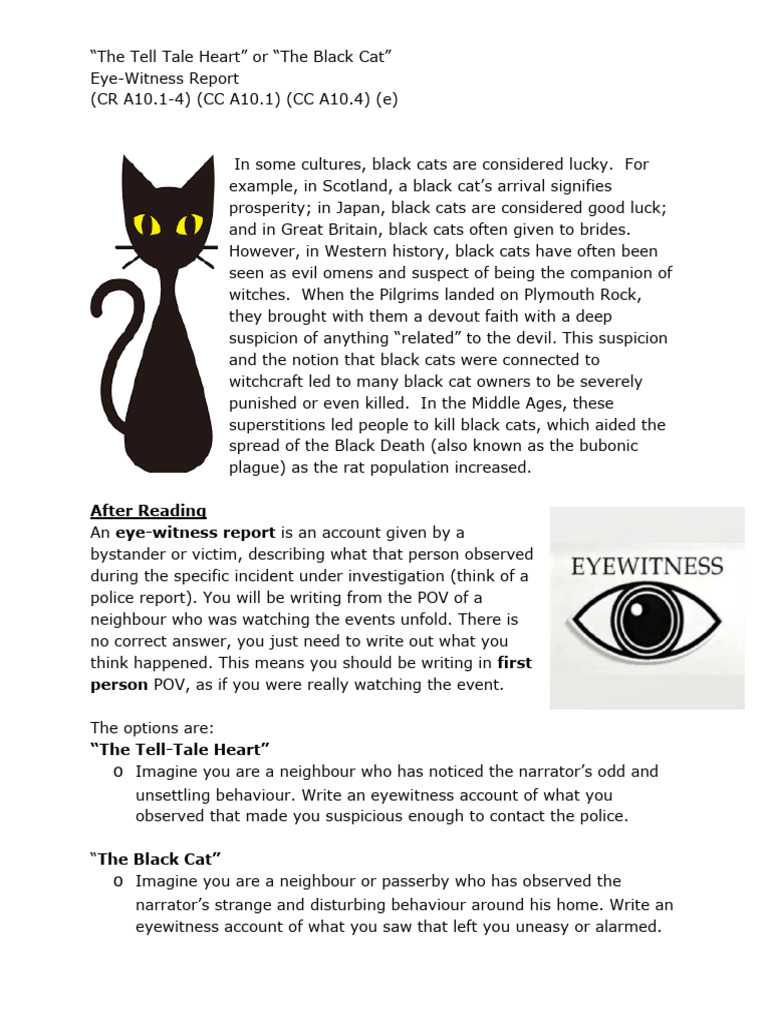 Eye Witness Report Assignment | PDF
