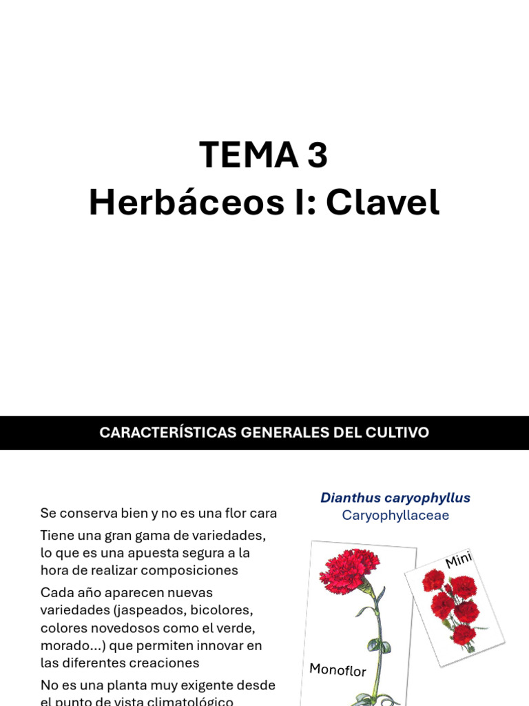 T3 - Herbáceos I - Clavel 2024-25 | PDF | Flores | Virus