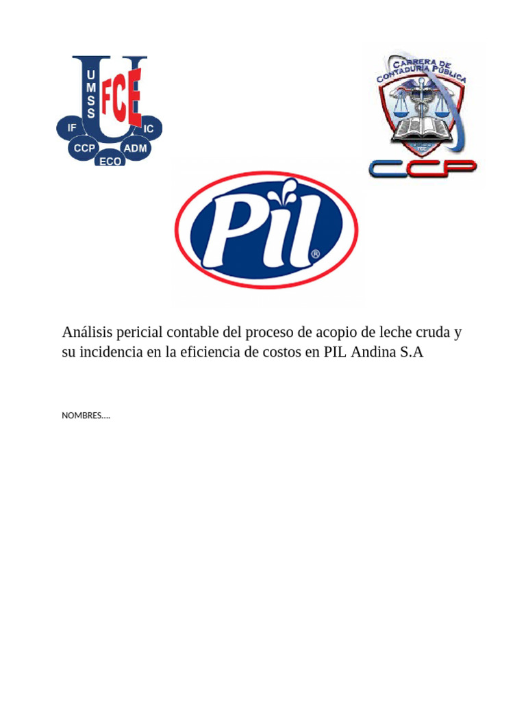 Trabajo Brandon Vargas Pil-1 | PDF | Contabilidad | Estado financiero