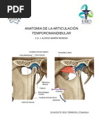 Disco Articular en la ATM: Anatomía y Función | PDF | Articulación ...