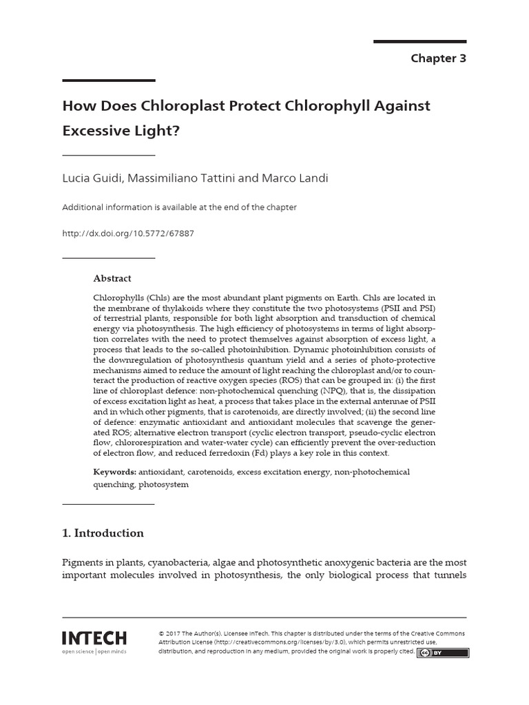 Guidi Et Al. - 2017 - How Does Chloroplast Protect Chlorophyll Against ...