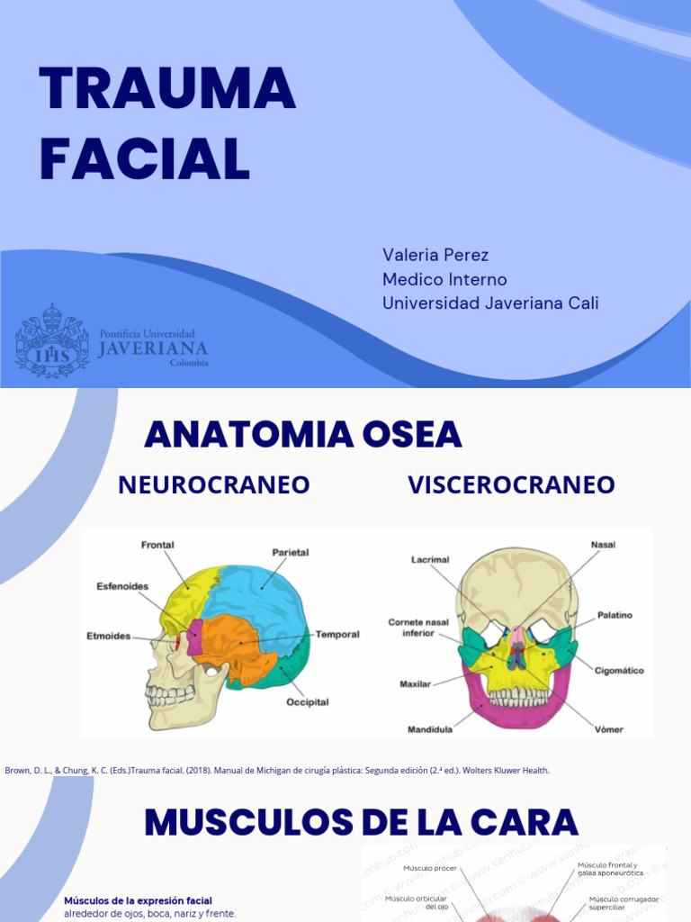 TRAUMA FACIAL | PDF | Anatomía humana | Cabeza y cuello humanos
