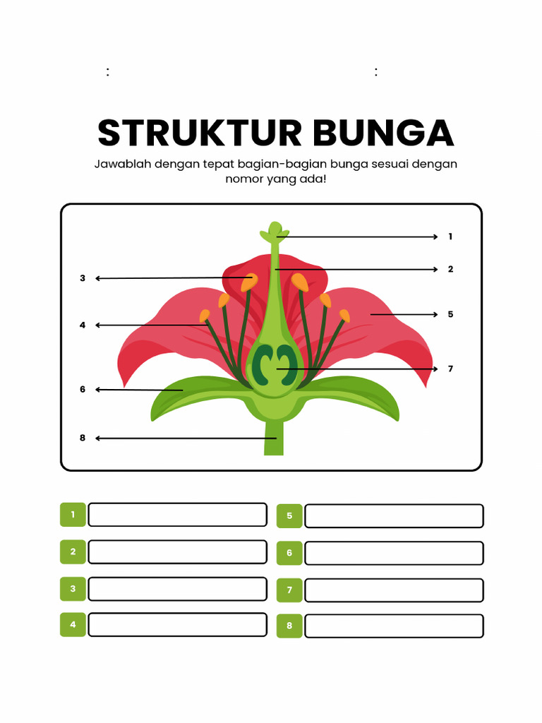 Struktur Bunga Worksheet Merah Dan Hijau Ilustratif | PDF
