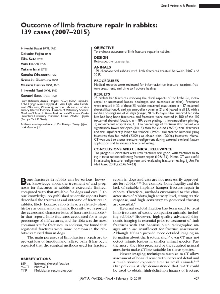 Limb Fracture Repair Outcomes in Rabbits | PDF | Ct Scan | Diseases And ...