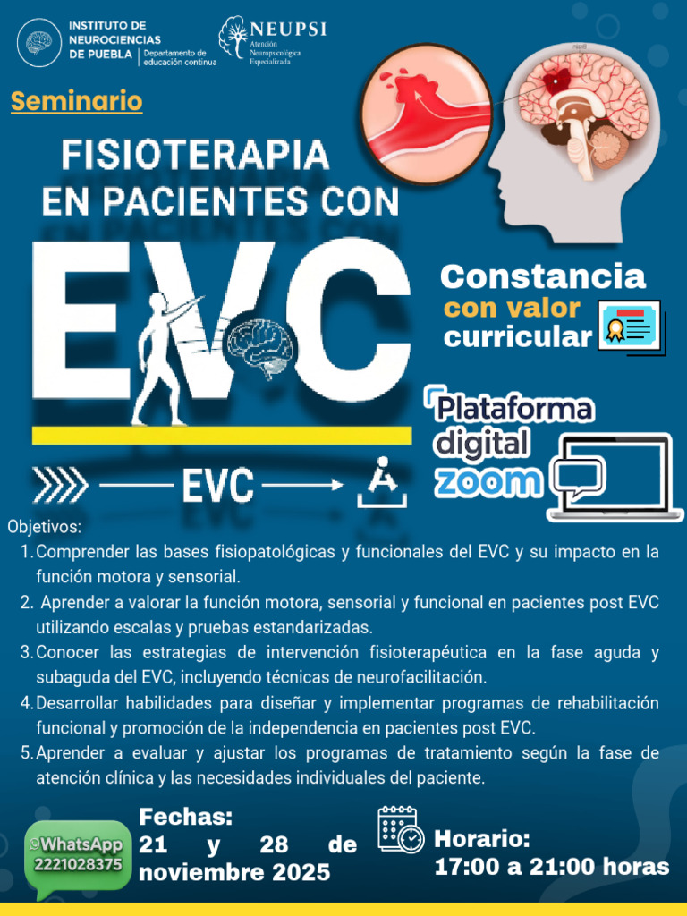 Seminario Fisioterapia En Pacientes Con Evc Pdf Pdf Terapia Física