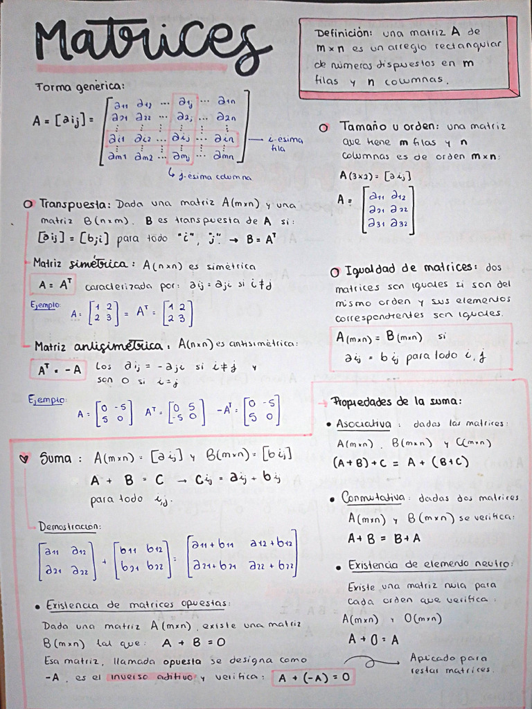 Matrices - Álgebra Lineal | PDF