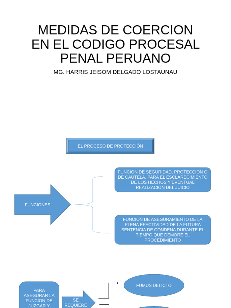 Medidas de Coerción en el NCPP Peruano | PDF | Castigos | Prisión