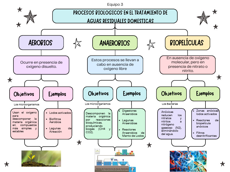 Procesos Biológicos en Tratamiento de Aguas | PDF