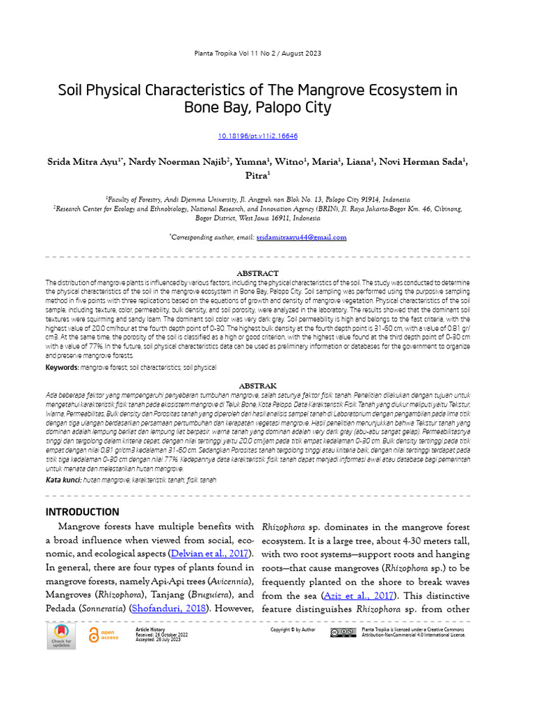 16646-Article Text-73976-2-10-20231021 | PDF | Porosity | Soil