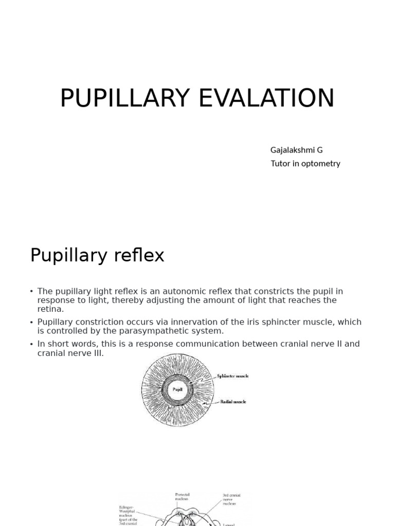 Pupillary Evalation | PDF | Nervous System | Neuroanatomy