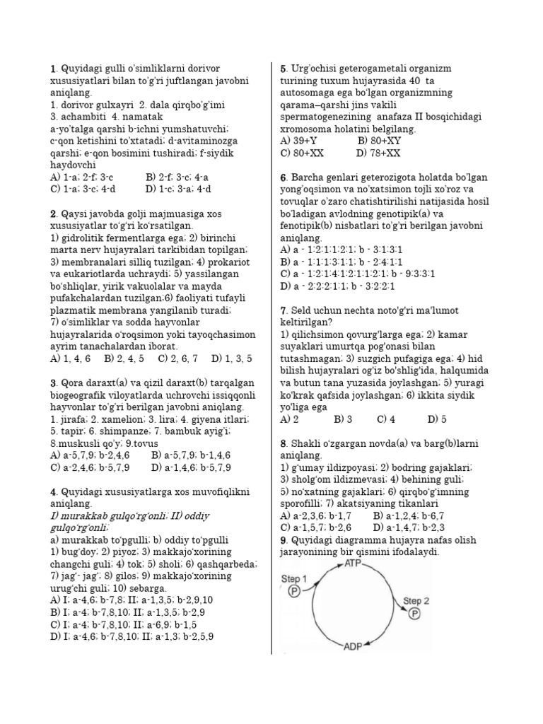 Test Biologiya Sertifikat | PDF