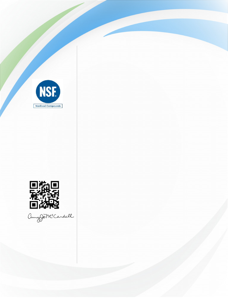 NSF Registration for Blue Shot Silver Cleaner | PDF