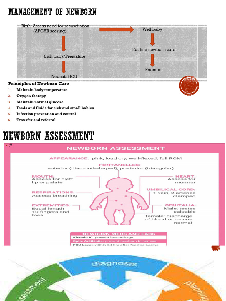 Newborn Care Guidelines and Nursing Assessment | PDF