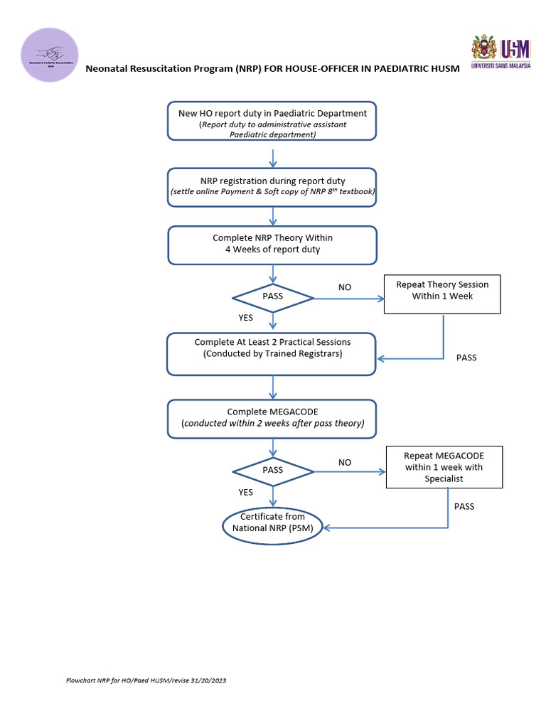 Flow Chart NRP For Ho Husm | PDF