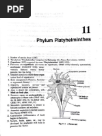 Leaf and Leaflet Morphology Guide | PDF | Leaf | Branches Of Botany