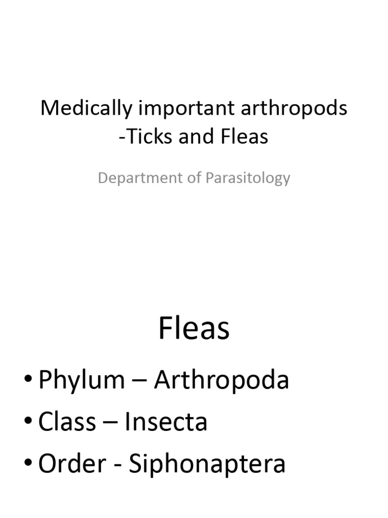 Medically Important Ticks and Fleas - MBBS 2025 | PDF | Microbiology