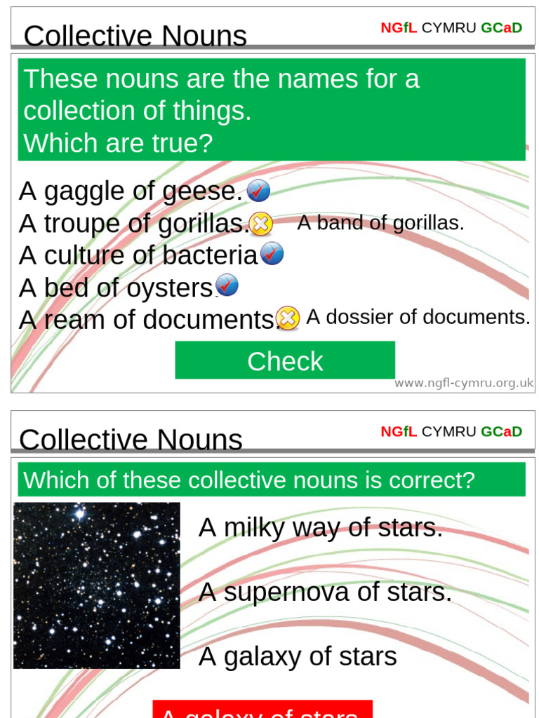 Grade 5 PPT English Q2 W8 Collective Nouns | PDF | Zoology