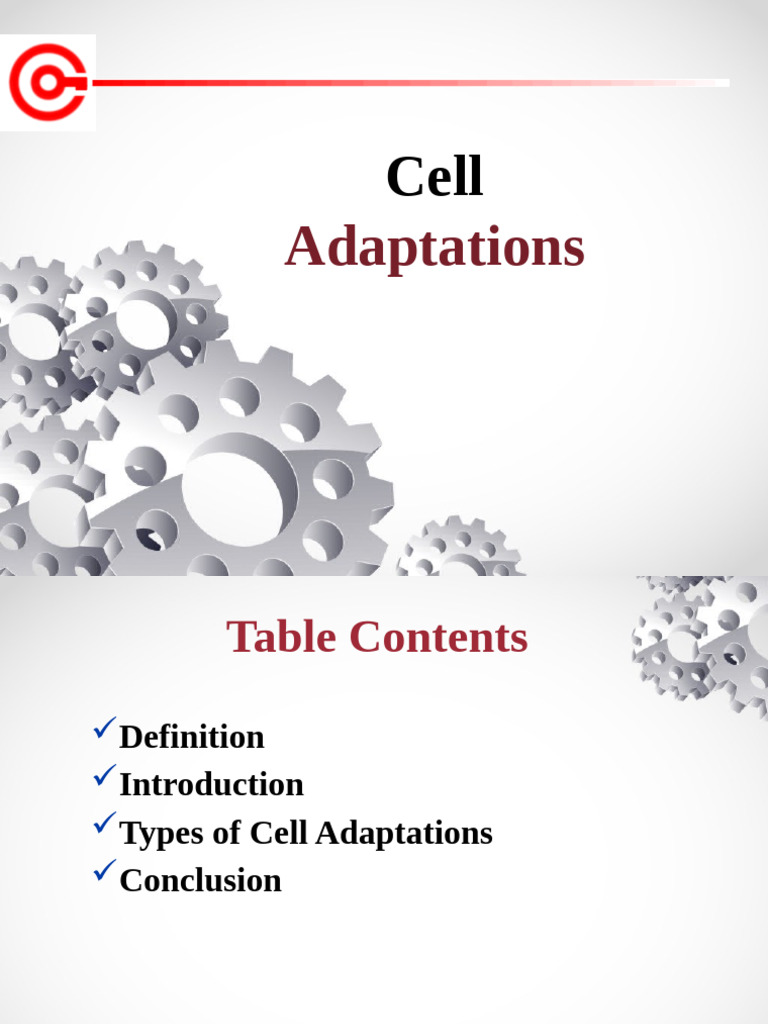 Cell Adaptations | PDF | Histology | Life Sciences