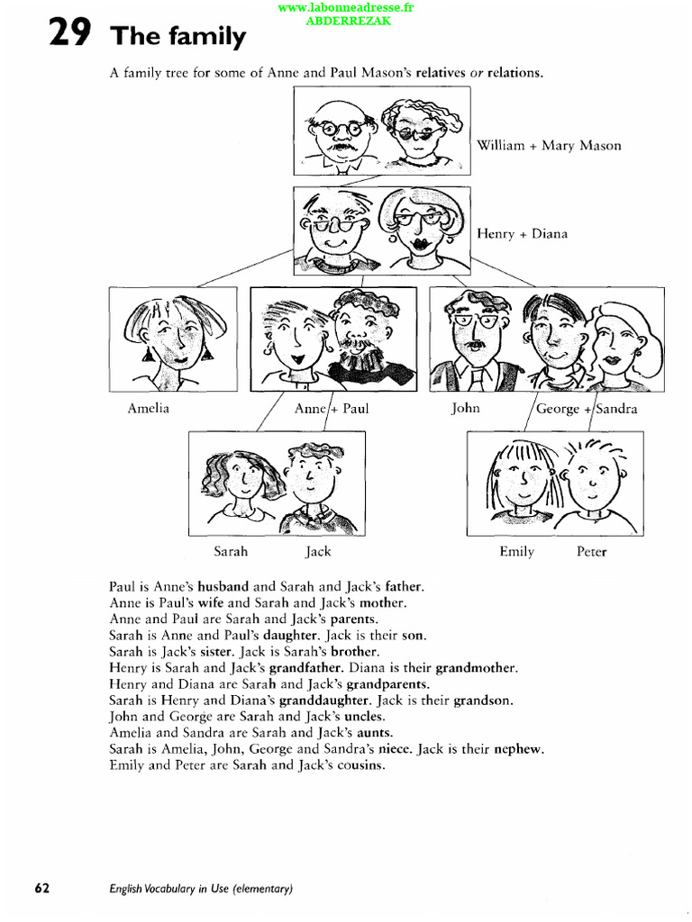 Family Plus Appearance | PDF
