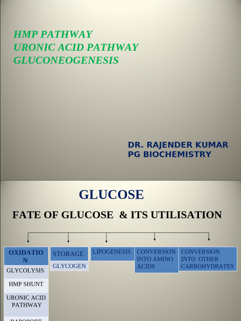 Hmp Shunt, Glyco | PDF | Glycolysis | Phosphorylation