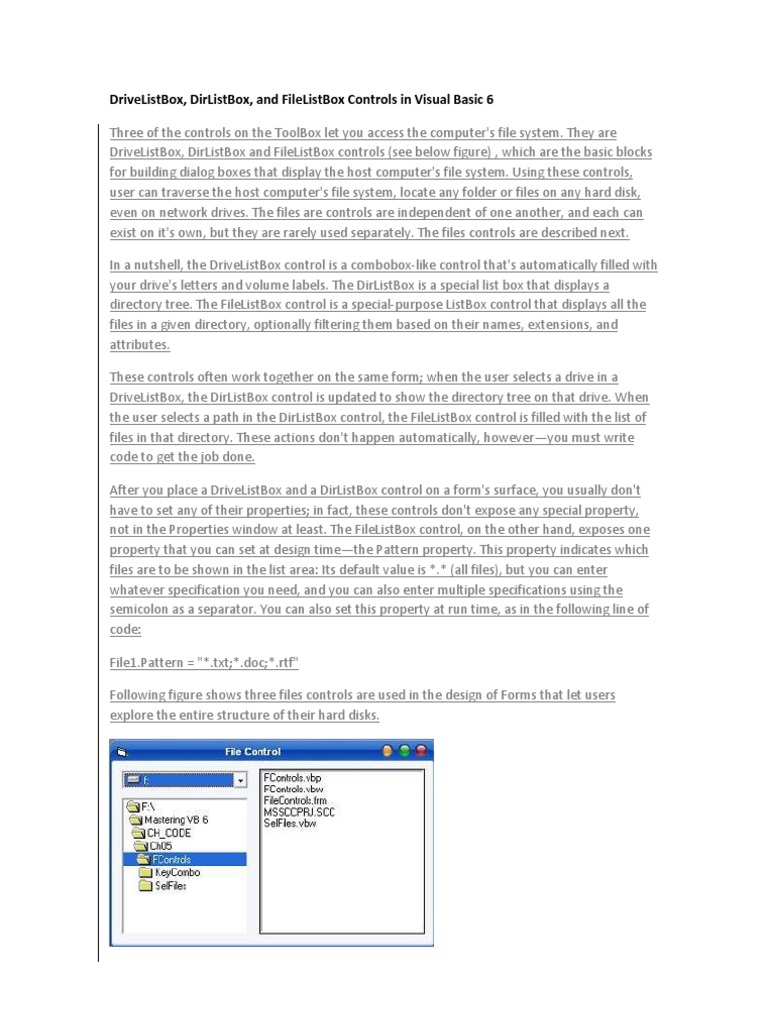 Drive List Box | PDF | Computer File | File System