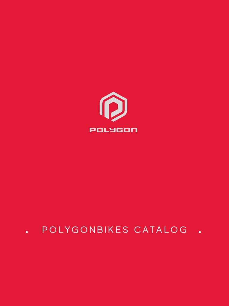 Polygon E-Bike Catalog Overview | PDF | Land Transport | Vehicles