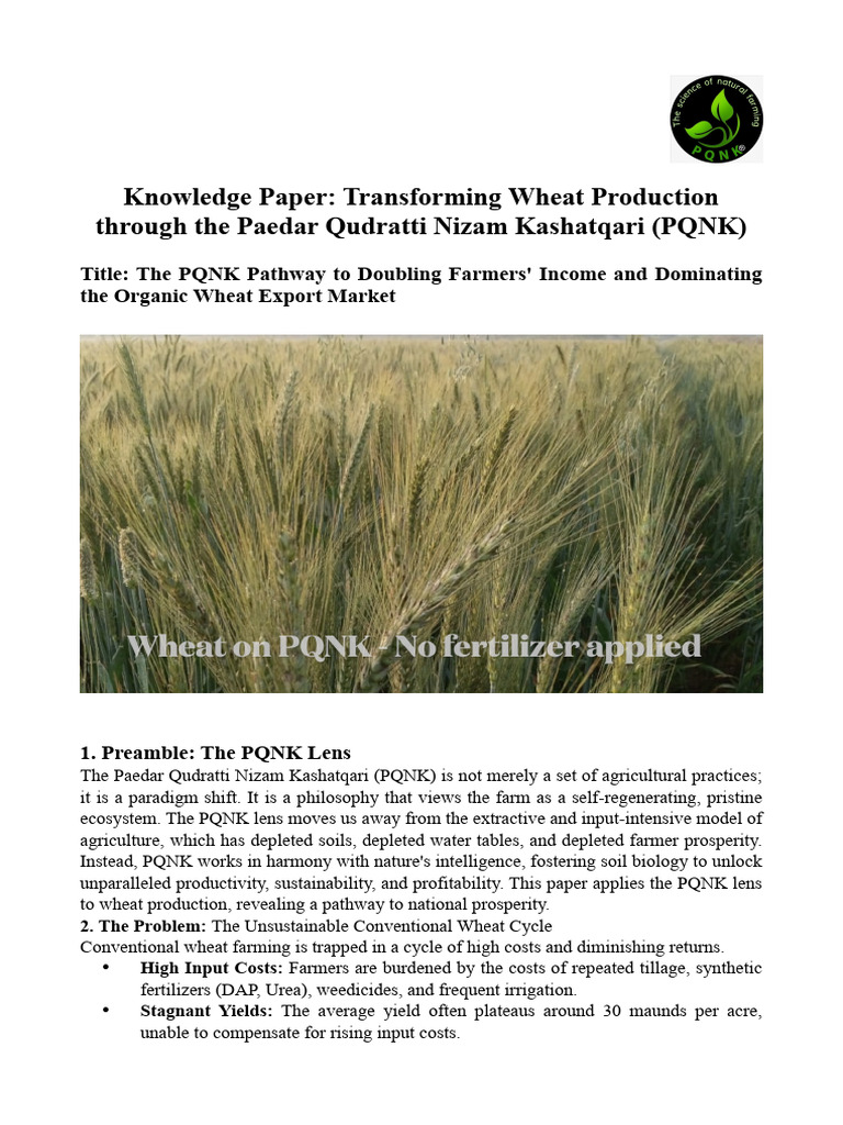 PQNK: Revolutionizing Wheat Farming | PDF | Agriculture | Fertilizer
