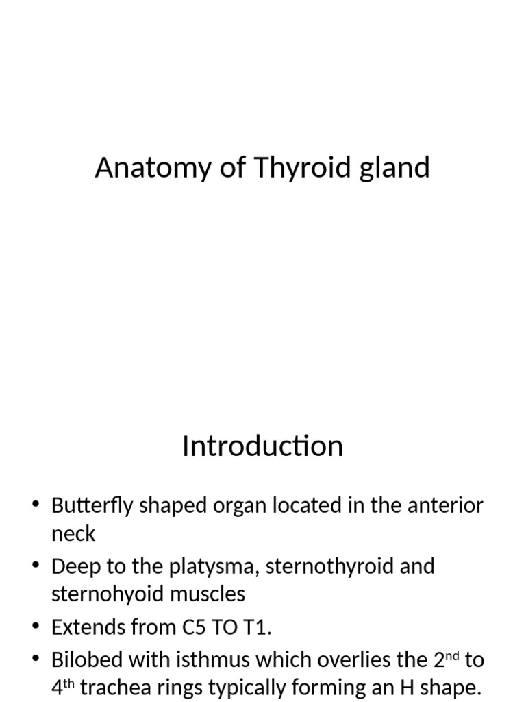 Anatomy of Thyroid Gland | PDF | Thyroid | Common Carotid Artery