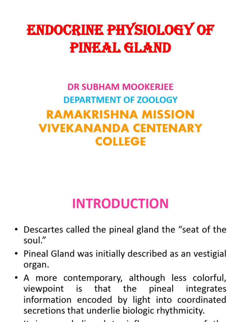 Pineal Gland | PDF | Circadian Rhythm | Tryptophan