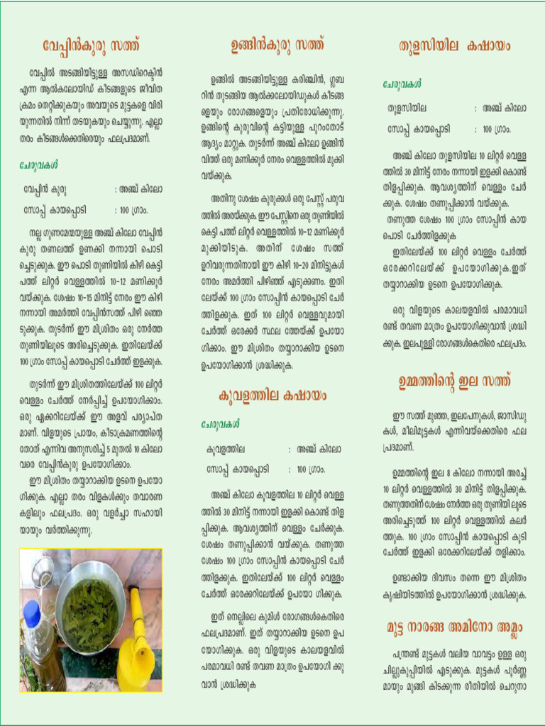 2 Leaflet (2) | PDF