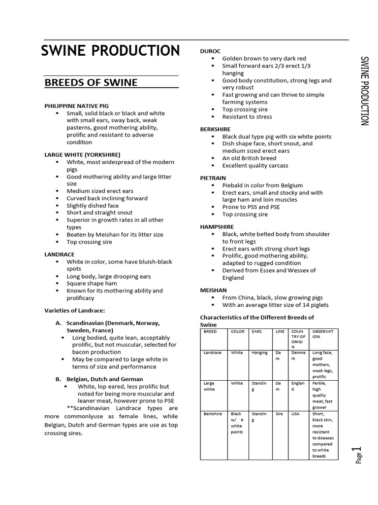 Swine Production and Management | PDF | Pig