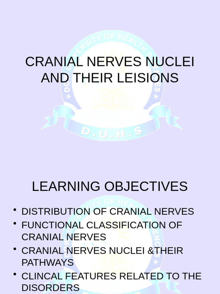 Cranial Nerves Nuclei 1-6 | PDF | Human Head And Neck | Neuroscience