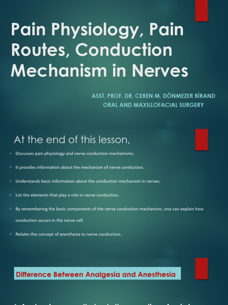 Pain Physiology and Nerve Conduction | PDF | Axon | Myelin