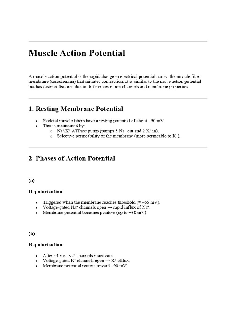 Muscle Action Potential | PDF | Action Potential | Muscle Contraction