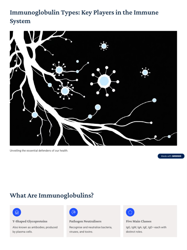 Immunoglobulin Types Key Players in The Immune System | PDF