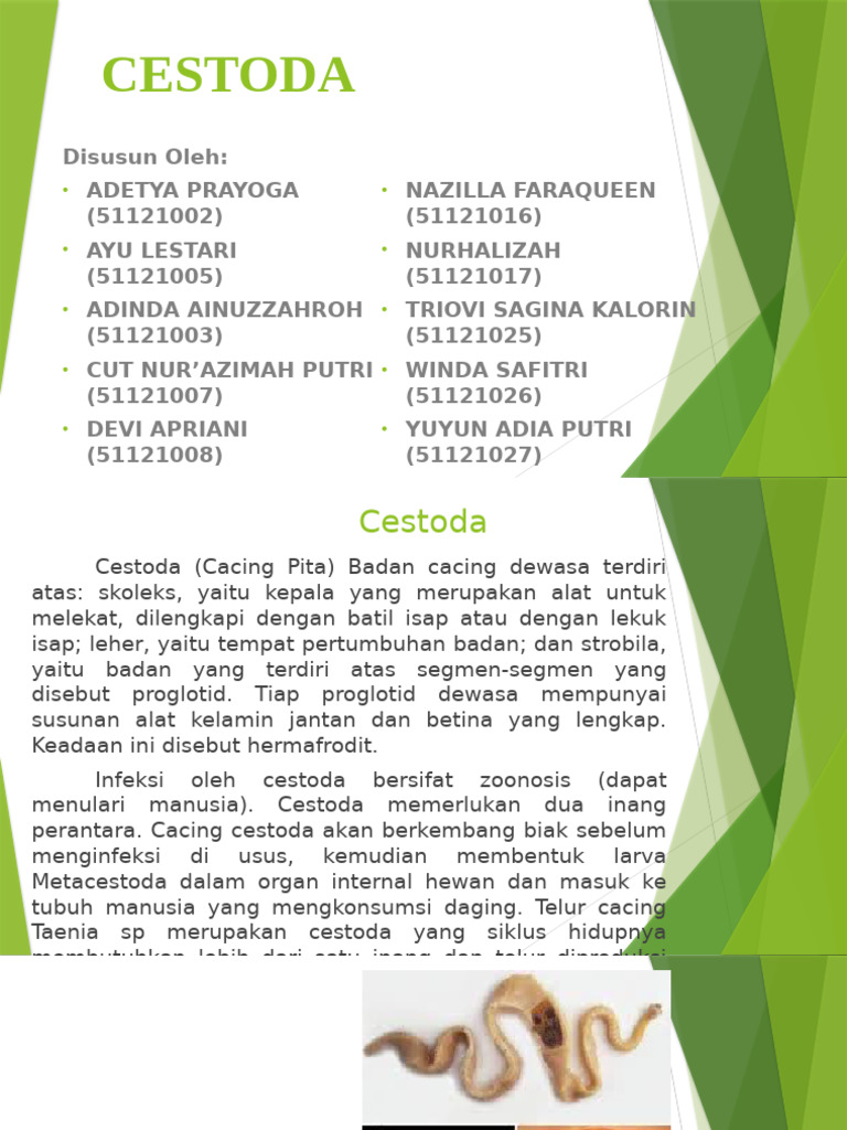 Cestoda 1 | PDF
