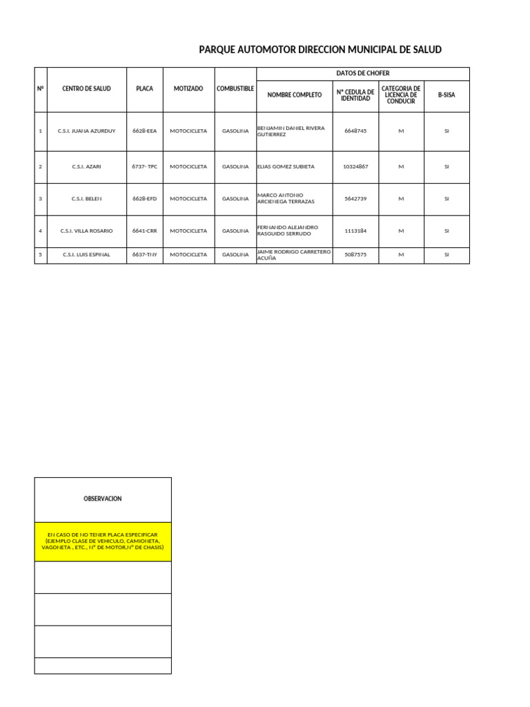 Detalle Parque Automotor para Activos Fijos | PDF