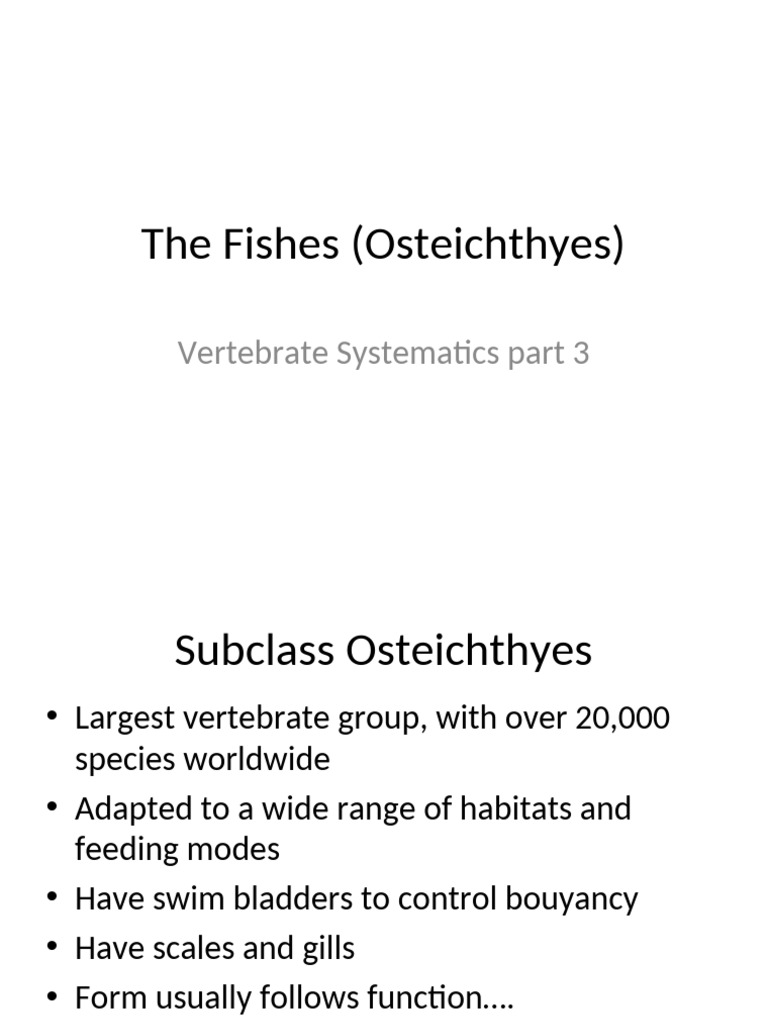 Overview of Bony Fish (Osteichthyes) | PDF | Fish | Vertebrates