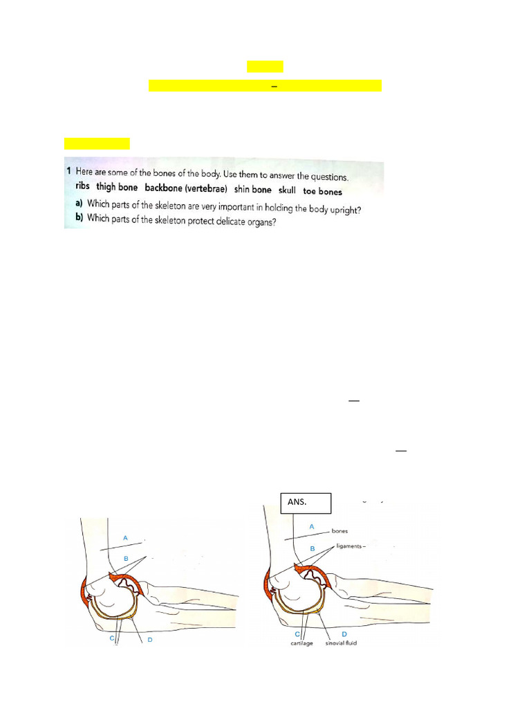 Notes First Term Biology - Level 7 Chapter # 1 Living Things LESSONS ...