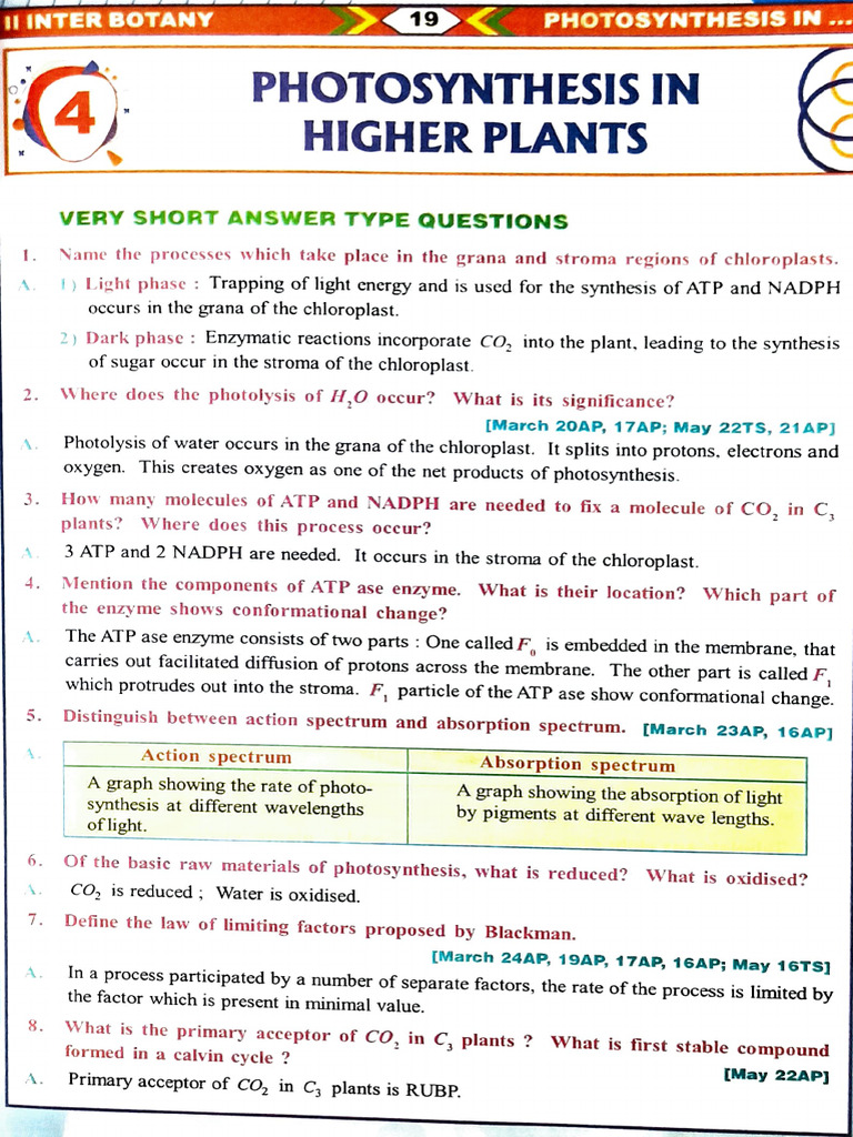 Botany Ch-4 Photosynthesis in Higher Plants | PDF | Photosynthesis ...