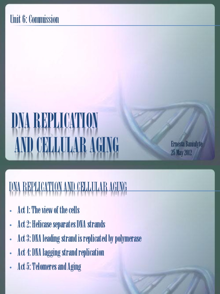 DNA Replication & Aging Guide | PDF | Science & Mathematics