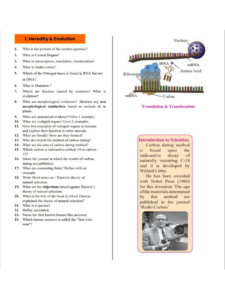 10th Science - 2 | PDF