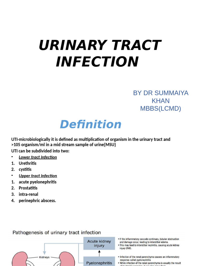Understanding Urinary Tract Infections | PDF | Urinary Tract Infection ...