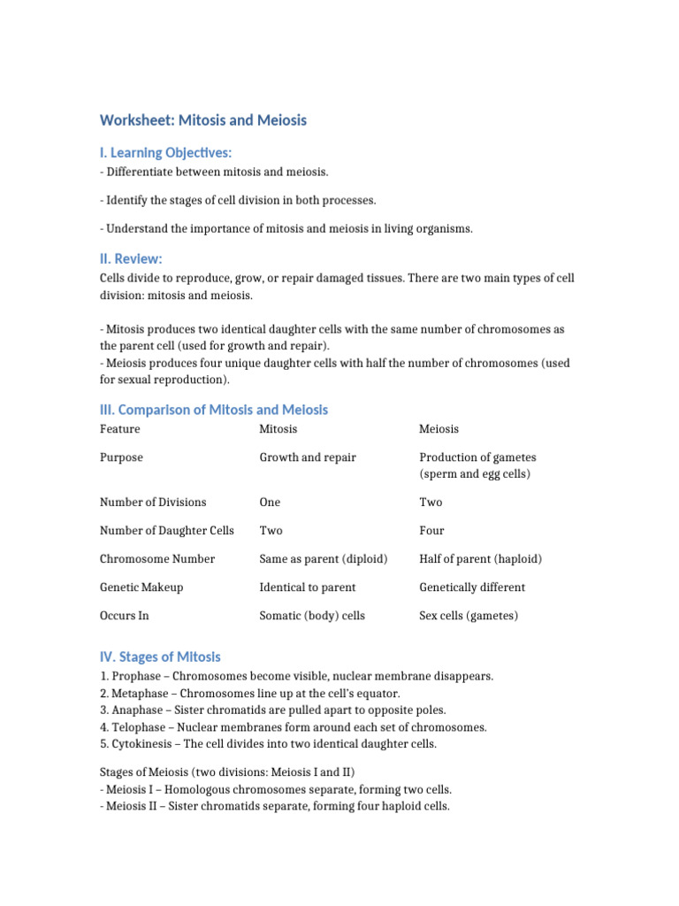 Mitosis and Meiosis Worksheet | PDF | Meiosis | Mitosis