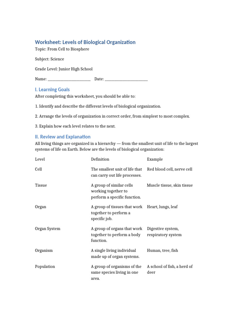 Biological Organization Levels Worksheet | PDF | Life | Tissue (Biology)