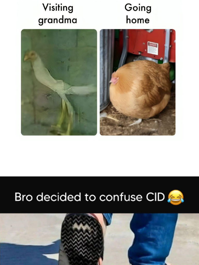 Image To PDF 20251112 18.20.51 | PDF