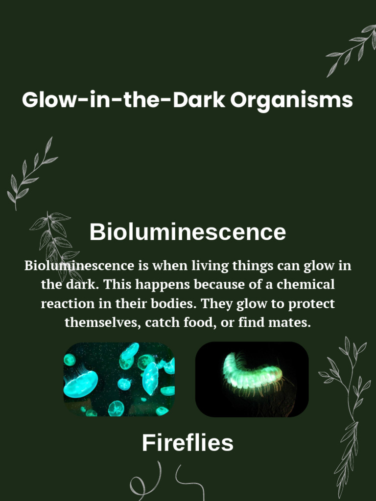 Glow-in-the-Dark Organisms PDF | PDF